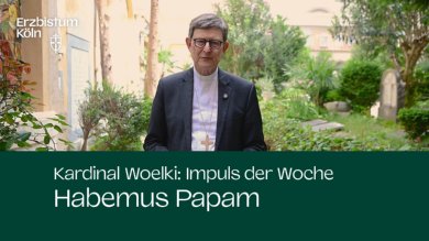 Habemus Papam