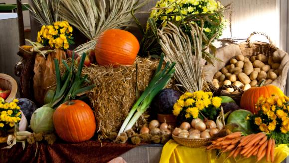 Erntedank: Geschichte und Bedeutung des Erntedankfests
